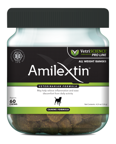 News | Pet Health Trends & Education | VetriScience Pro Line